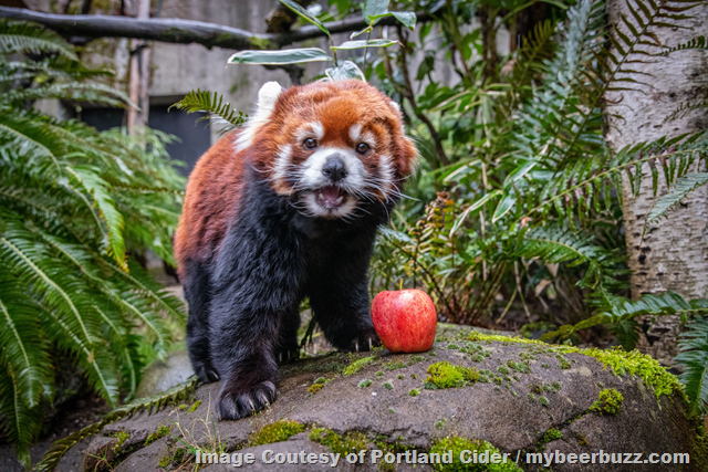 Portland Cider Helps Feed Oregon Zoo Animals In New Partnership - My ...